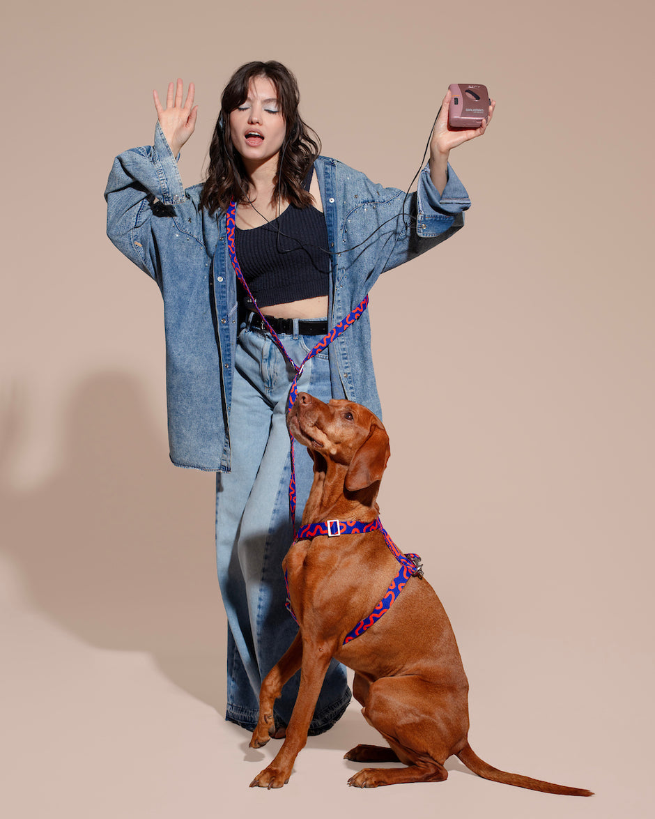 Hot Doggies | Premium Dog Collars, Leashes & Harnesses – HOT DOGGIES